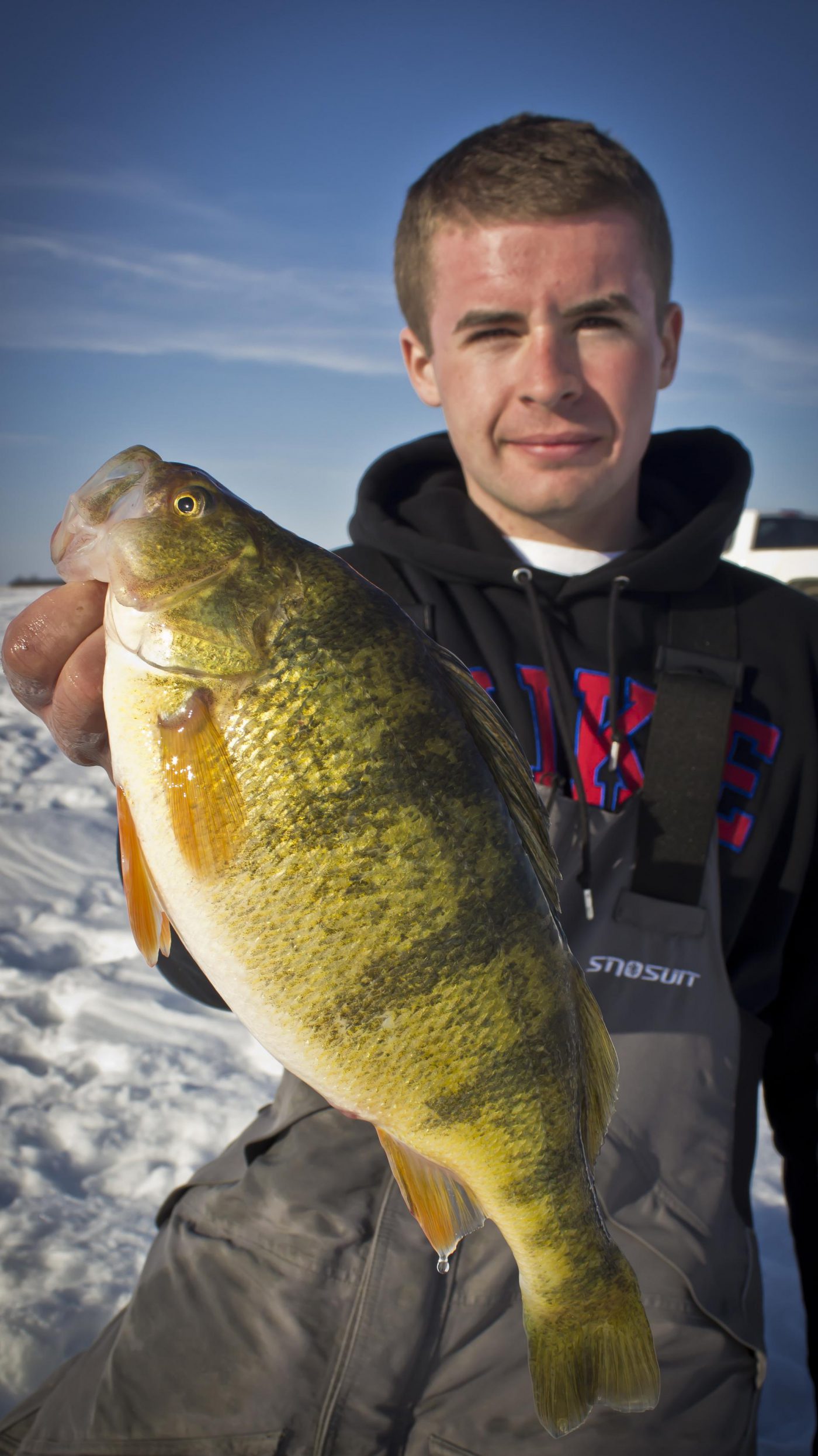 The best yellow perch fishery on Earth? • Outdoor Canada