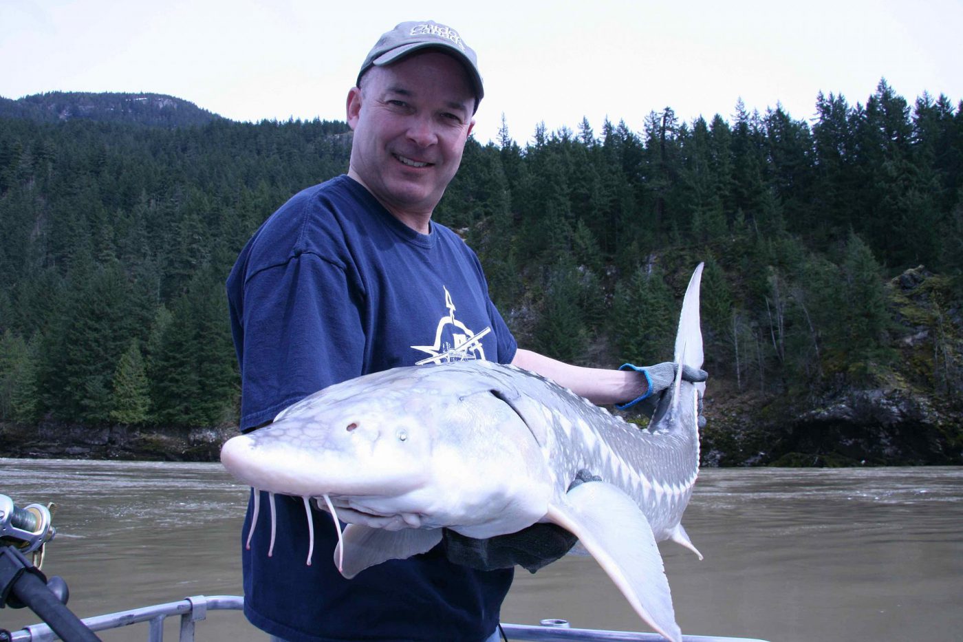 Bucket List Scratch: White Sturgeon! • Outdoor Canada