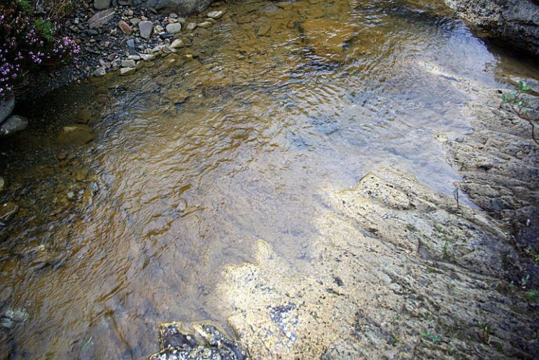 What you need to know about rock snot • Outdoor Canada