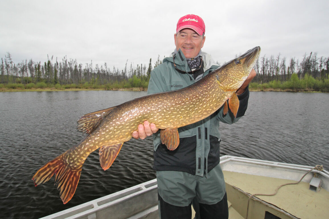 3 unbeatable rigs for catching huge early-season northern pike ...