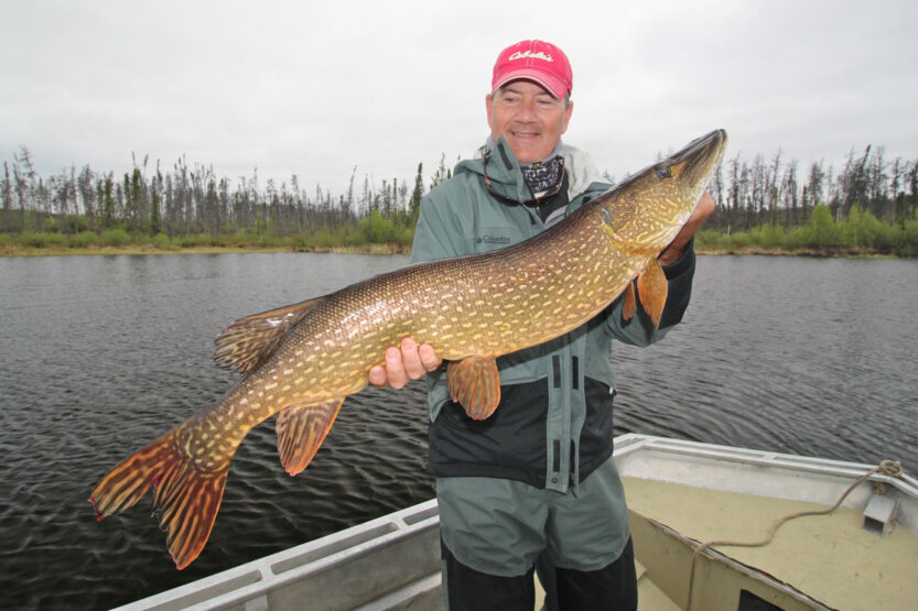 3 unbeatable rigs for catching huge early-season northern pike ...