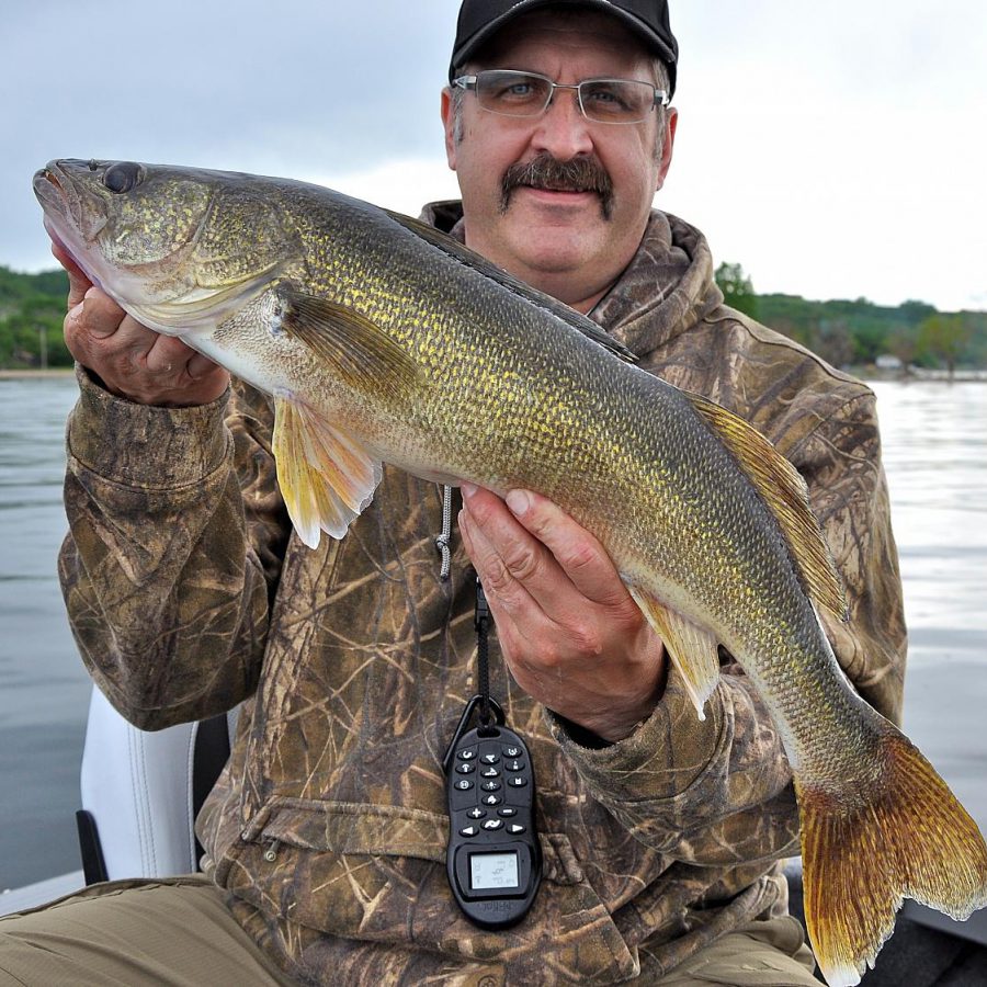 The ultimate beer-battered walleye recipe • Outdoor Canada