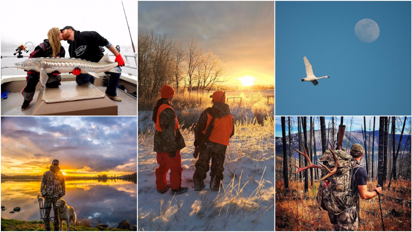 13 beautiful, dramatic and touching photos of the great Canadian ...