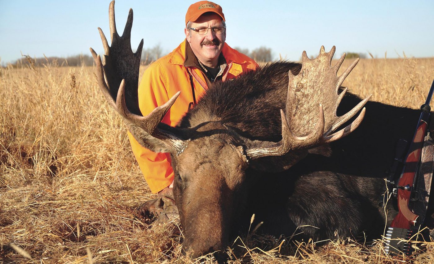 Farmland moose: How to hunt big bulls in wide-open agricultural land ...