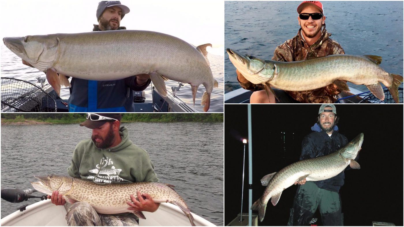 4 Muskie Masters Reveal Their Top Trolling Tactics for Monster Fish ...