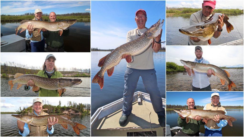 This Saskatchewan lodge just might have Canada’s best pike fishing ...