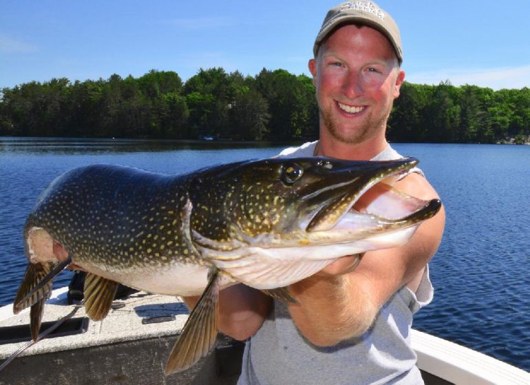 How to hammer early-summer northern pike with glide baits • Page 3 of 4 ...