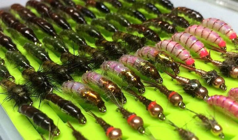 Catch trout all across Canada by imitating these 3 delicious insects ...