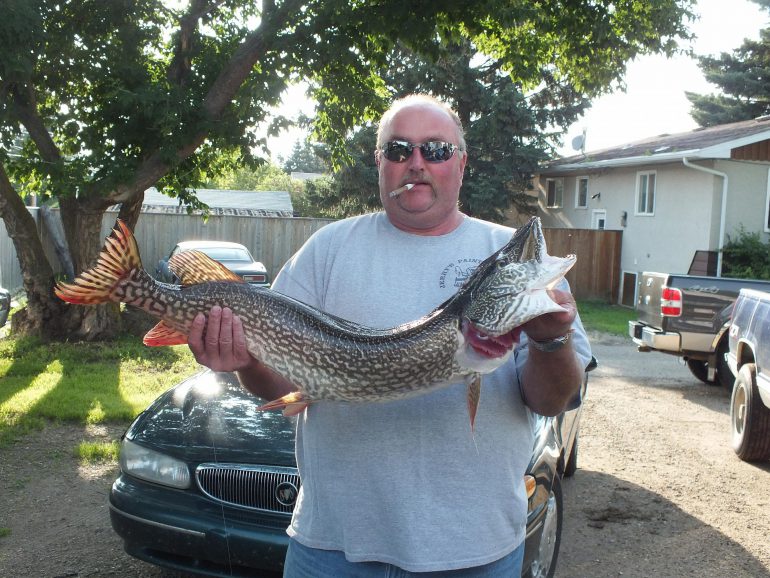 It's a pike-eat-duck world • Outdoor Canada