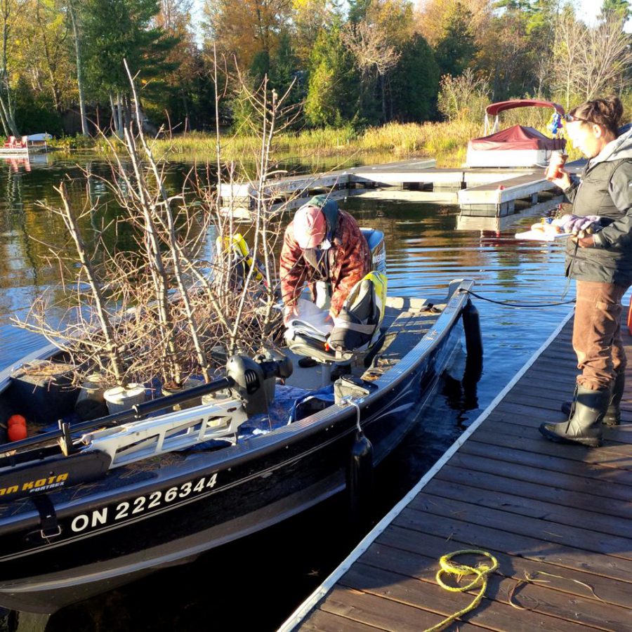 How to create a world-class bass fishery • Outdoor Canada