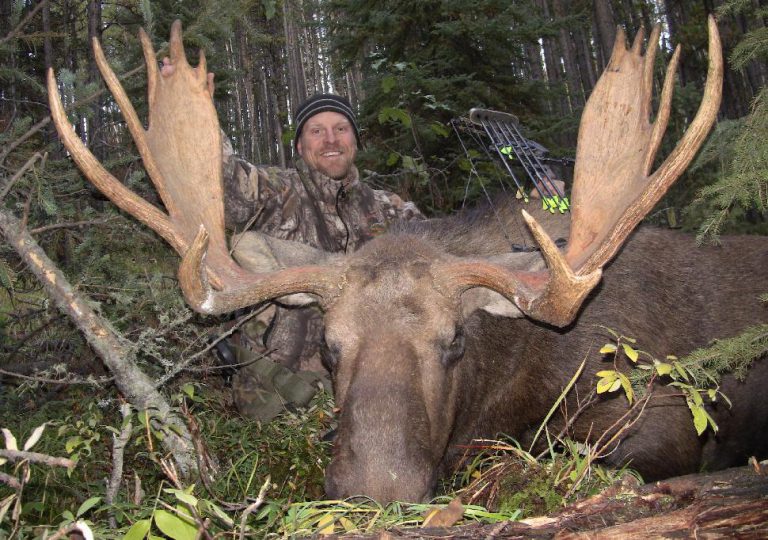 Pro tips for calling in big bull moose • Outdoor Canada