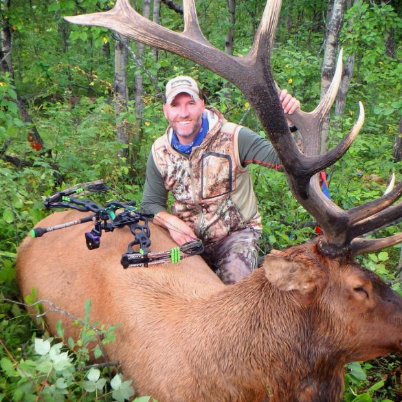 Hear a Cow Moose Call • Outdoor Canada