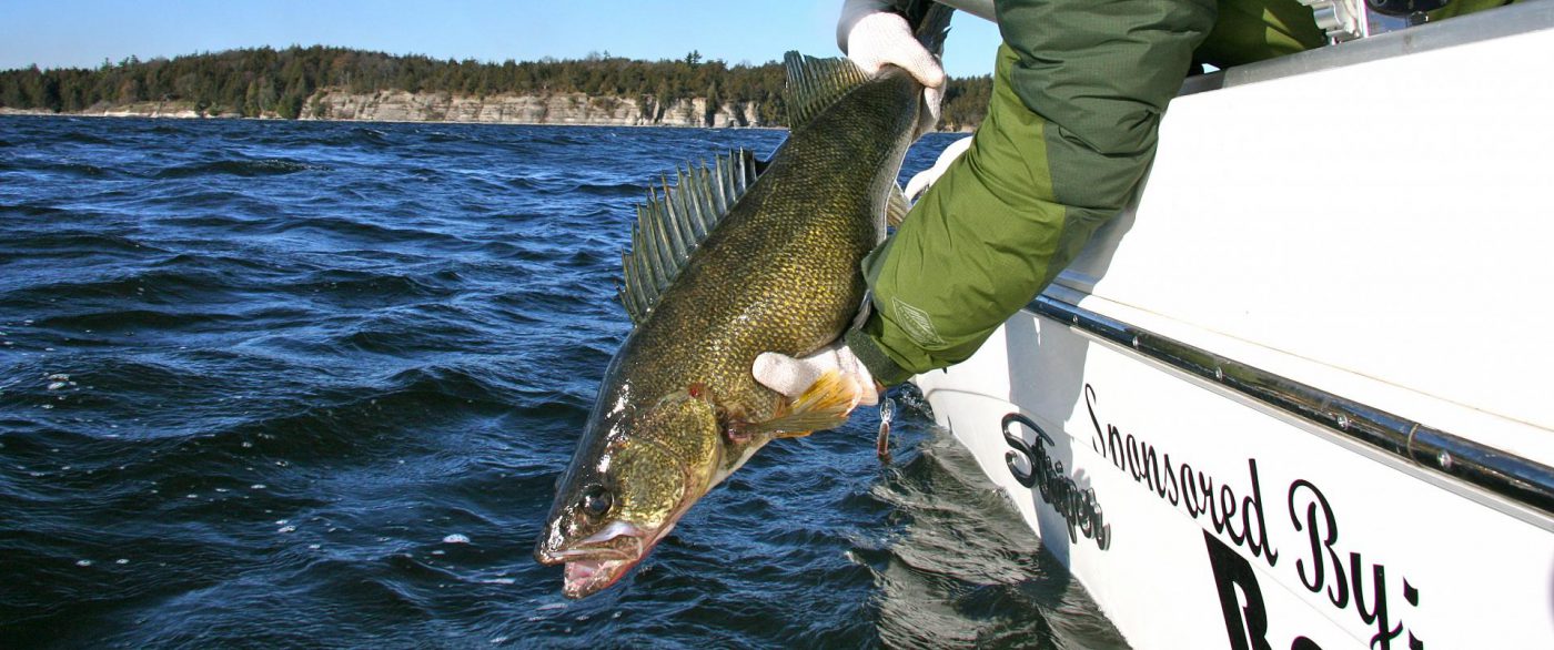How to catch big fall walleye... anywhere in Canada! • Outdoor Canada