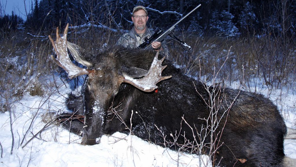 Late-season moose: Where they go after the rut • Outdoor Canada