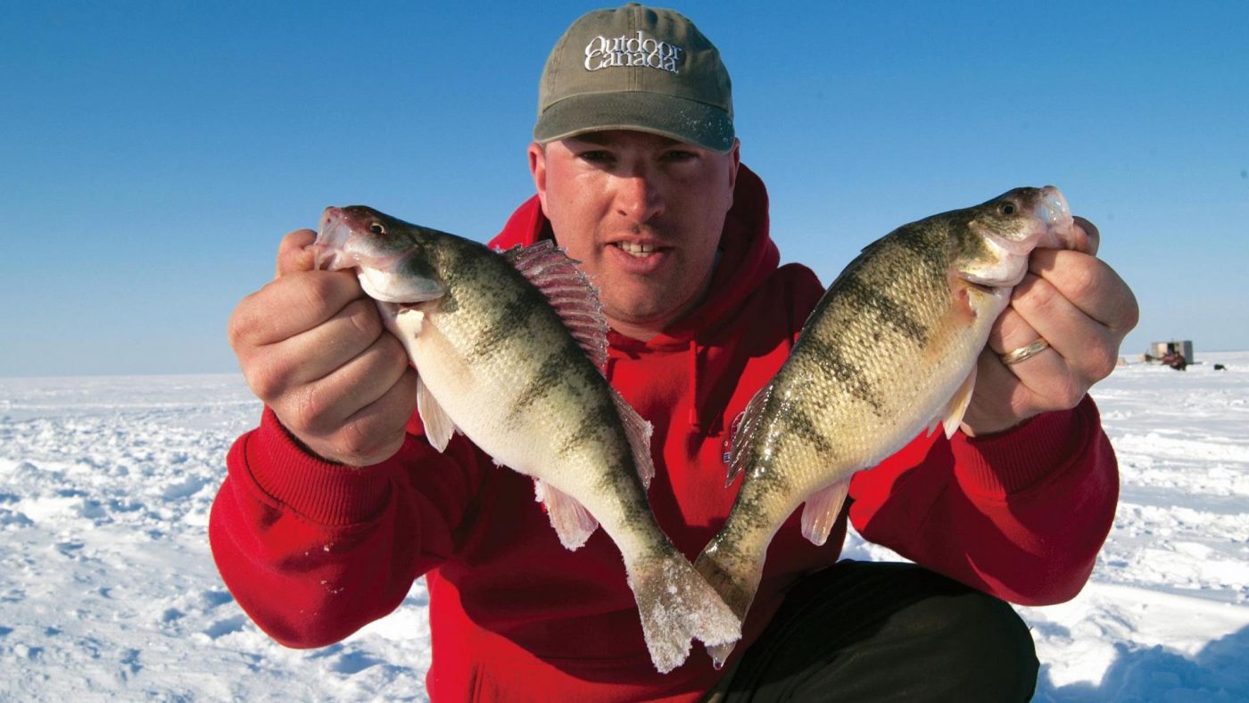 These ice-fishing lures for perch should be a lot more famous • Outdoor ...