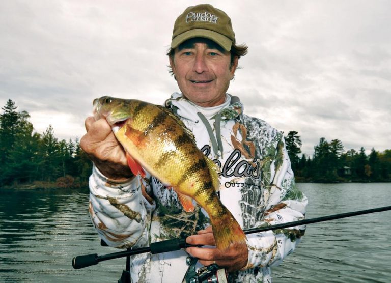 Pro Secret: The #1 Rig for Slaying Early-season Yellow Perch • Outdoor ...