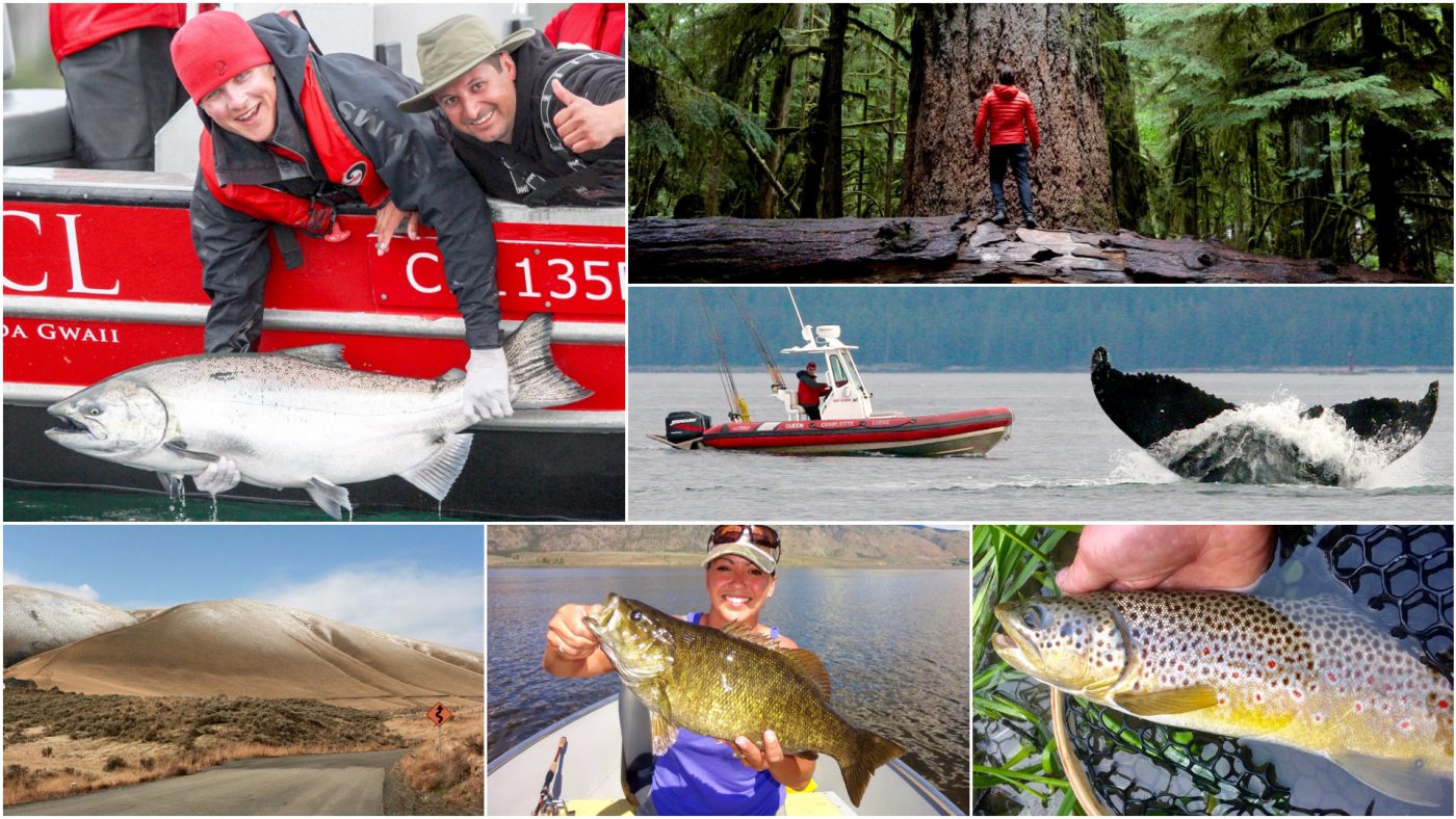 3 of the Most Naturally Beautiful Places to Fish in British Columbia ...