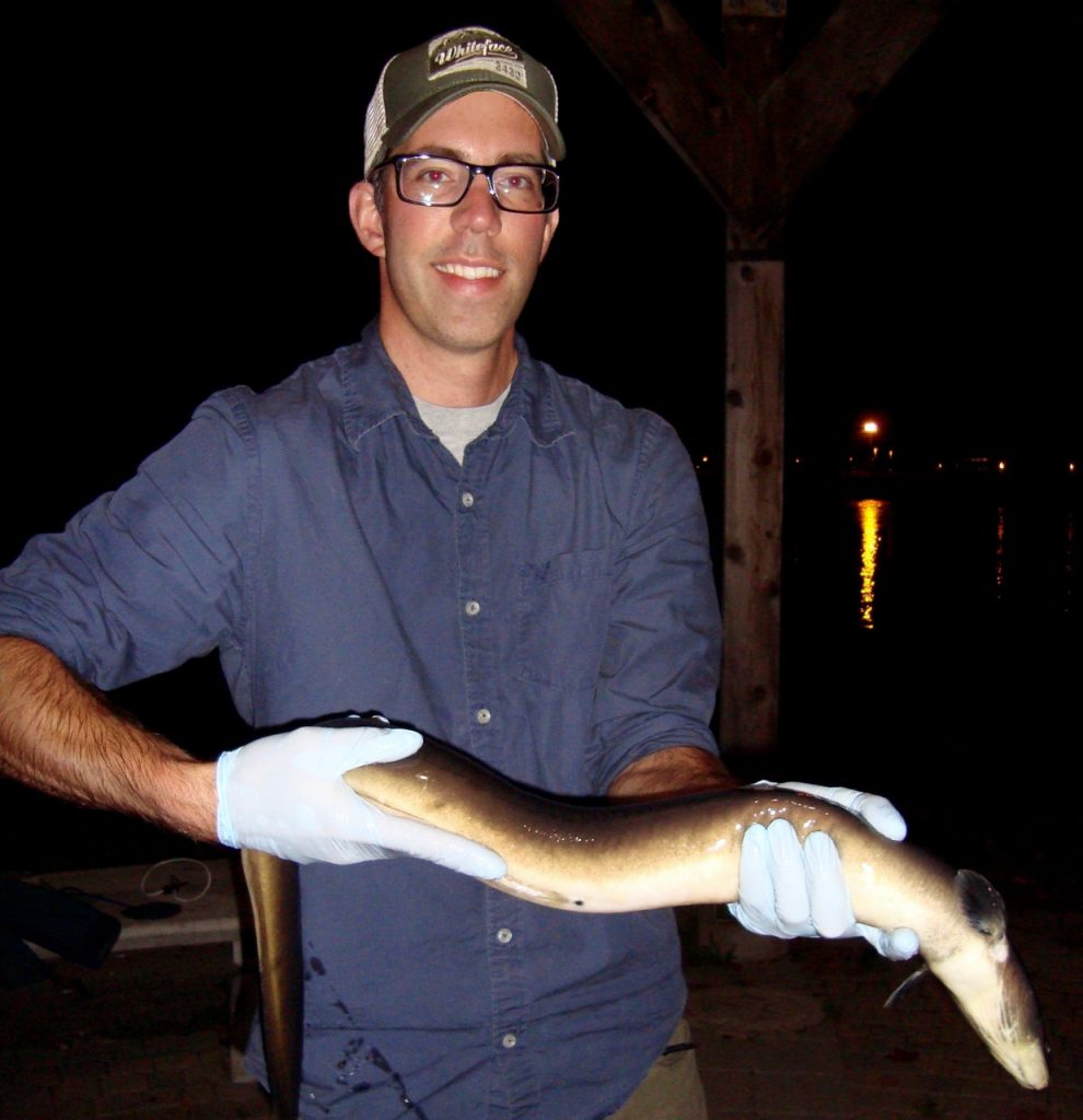 Blue Fish Radio: What you need to know about Canada’s amazing eels ...