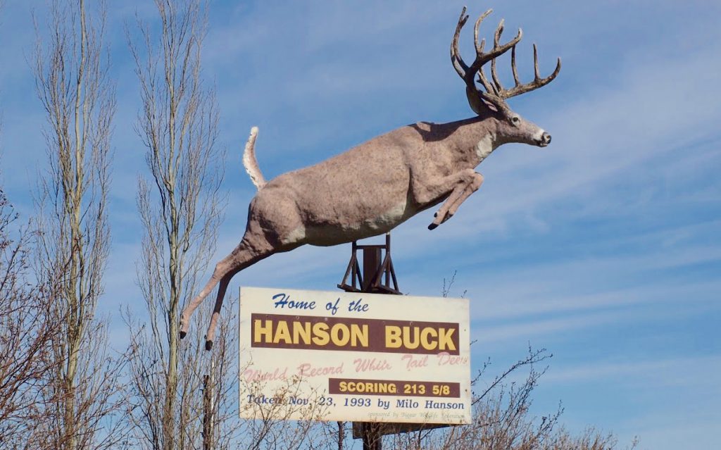 The Hanson buck: After 25 years, this Saskatchewan whitetail is still ...
