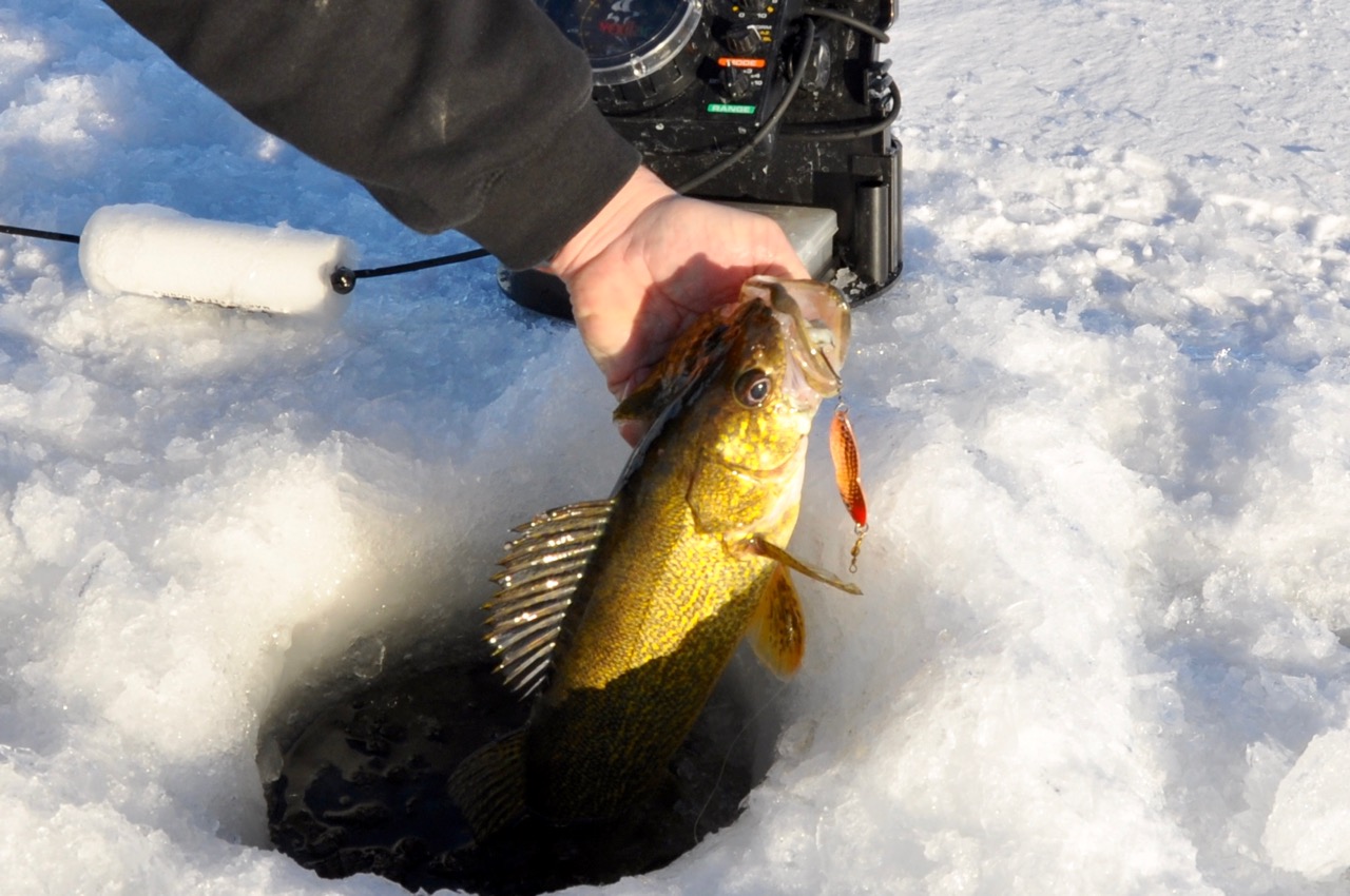 Ice-fishing Friday: How to run-and-gun for big winter walleye • Page 3 ...