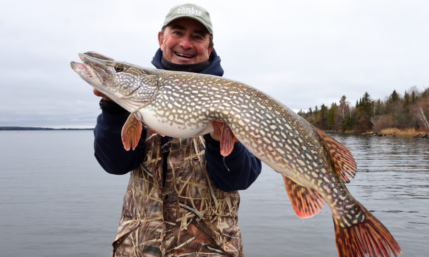 Stop the bleeding: How soda water can save an injured fish • Outdoor Canada