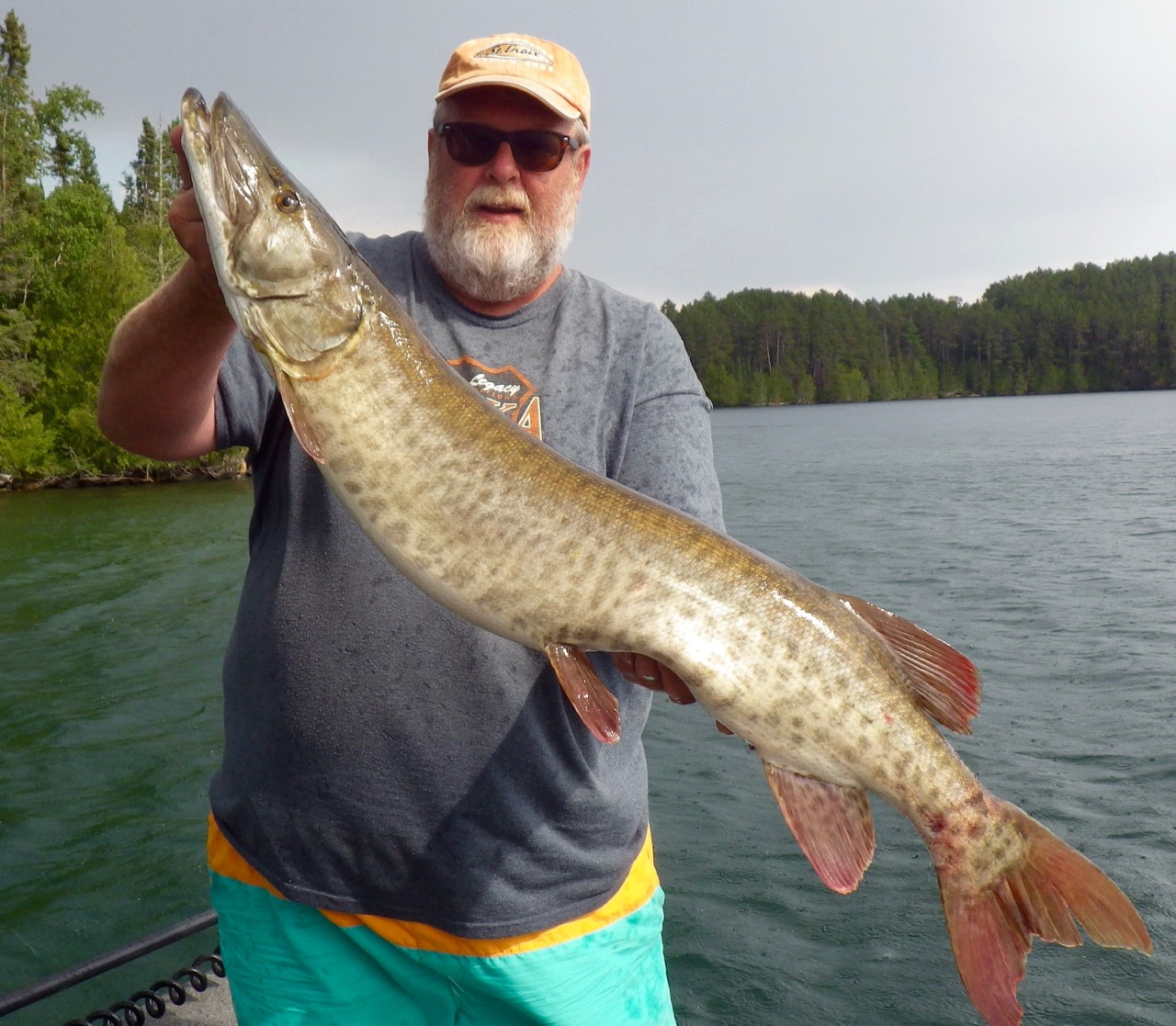 I finally caught my first muskie. Here are 9 lessons I learned • Page 2 ...