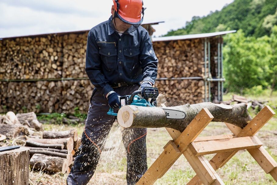 Chainsaws can be dangerous. Here’s how to stay safe • Outdoor Canada