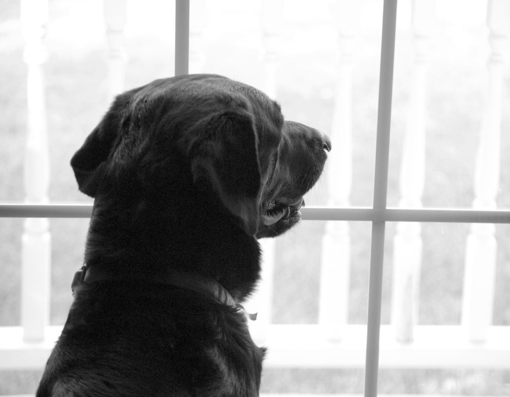 What choke should you use when shooting slugs? • Outdoor Canada