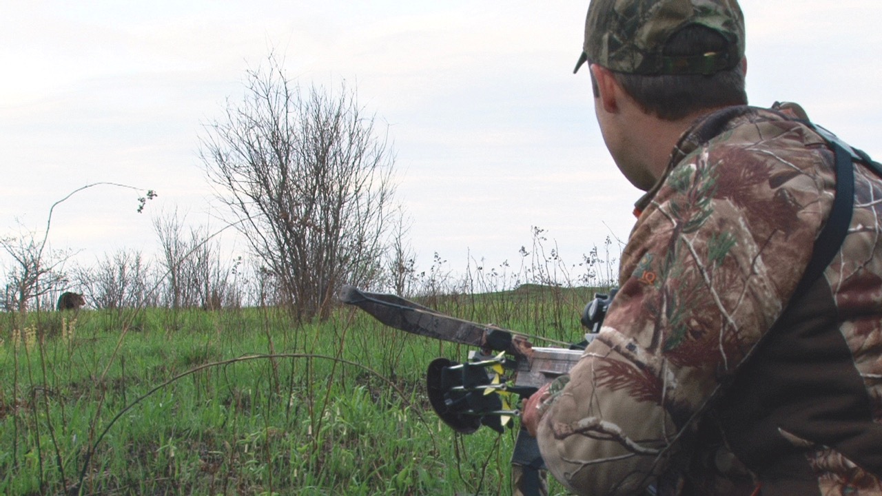 9 expert bear-hunting tips from outdoor TV host Keith Beasley • Page 6 ...