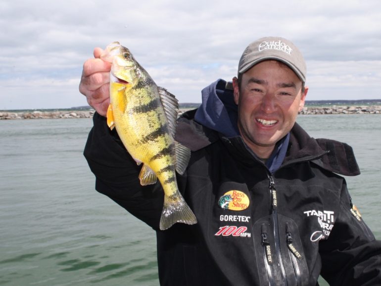 5 tips for catching jumbo perch throughout the open-water season • Page ...