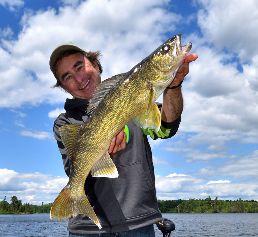 Walleye fishing Q&A: Live vs. preserved minnows, jigging depth and more ...