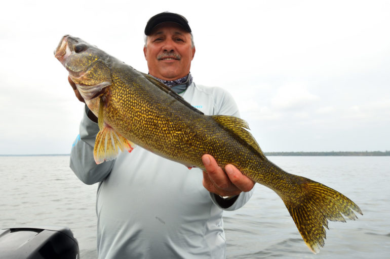 Walleye fishing Q&A: Live vs. preserved minnows, jigging depth and more ...