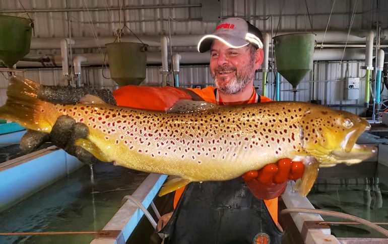 What hatcheries are teaching us about brook, brown and rainbow trout ...