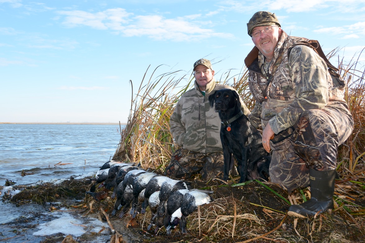 How to make the perfect decoy spread for diving ducks • Outdoor Canada