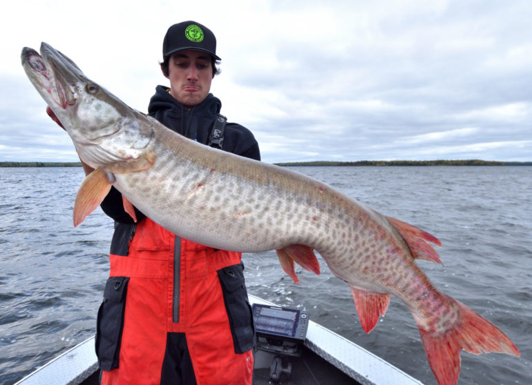 Looking for monster pike and muskies? Find where the ciscoes are ...