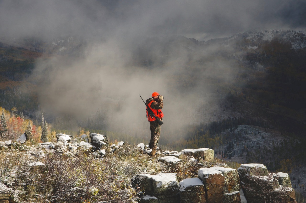 How the pandemic taught me the challenges and pleasures of solo hunting ...