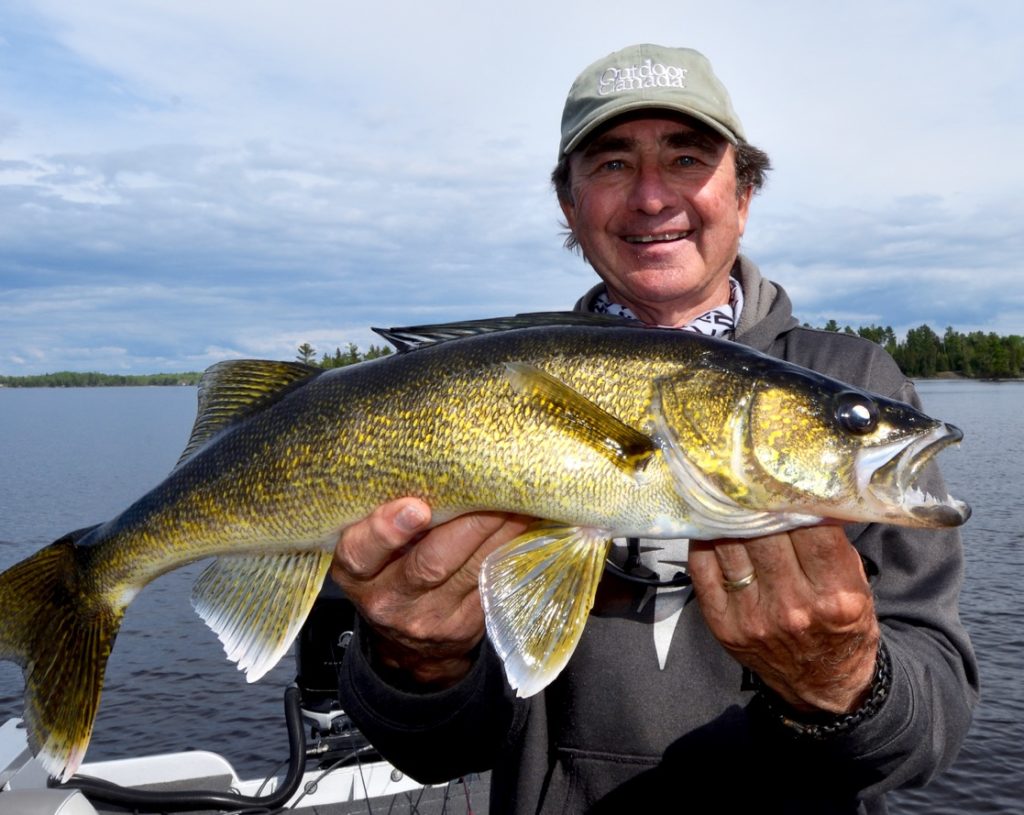 6 pro strategies to hook up with late-fall walleye, bass, crappies ...