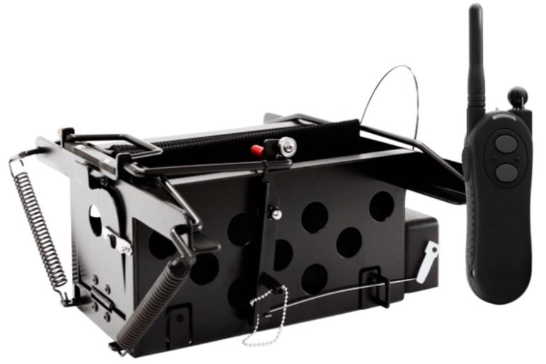 Expert tips for training your dog with automated launchers • Page 3 of ...