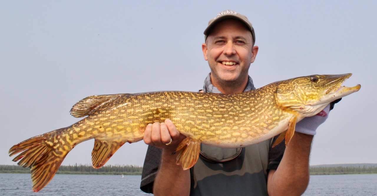 The top tackle and lures for catching spring pike in current areas ...