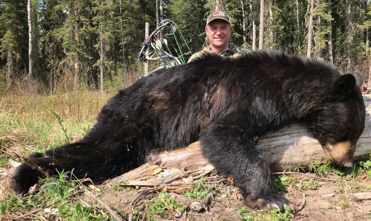 Hunting spring bears? Here’s how to perfectly place your shot • Outdoor ...