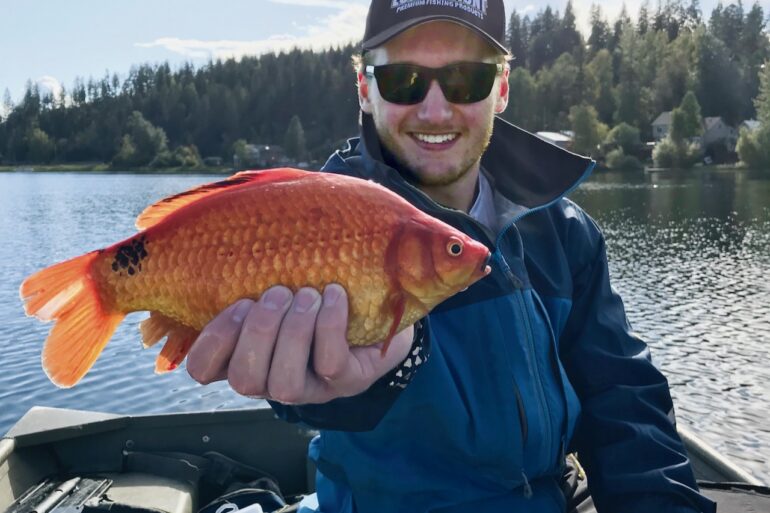 Western hunting forecast 2016: This year’s top spots to tag out on big ...