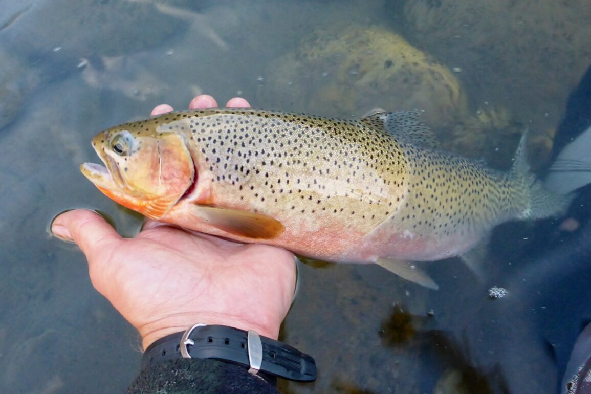 Fishing Archives • Page 17 of 140 • Outdoor Canada