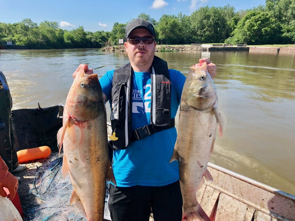 Blue Fish Radio: Everything Canadian anglers need to know about carp ...