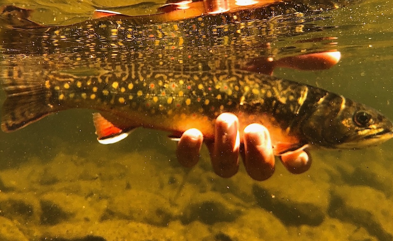 Fantastic fishing and hunting photos from Outdoor Canada readers ...