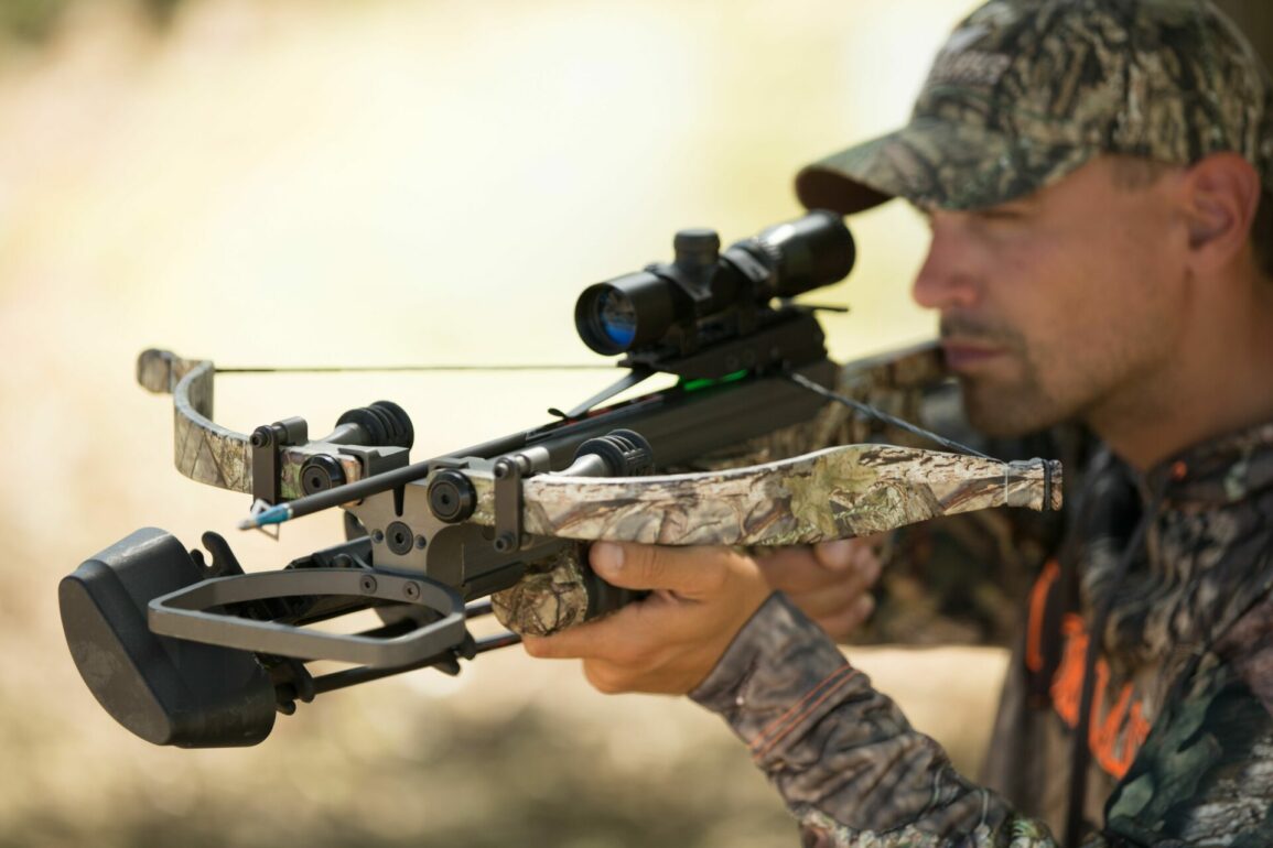 Looking for a crossbow? Check out these 4 high-performing budget bows ...