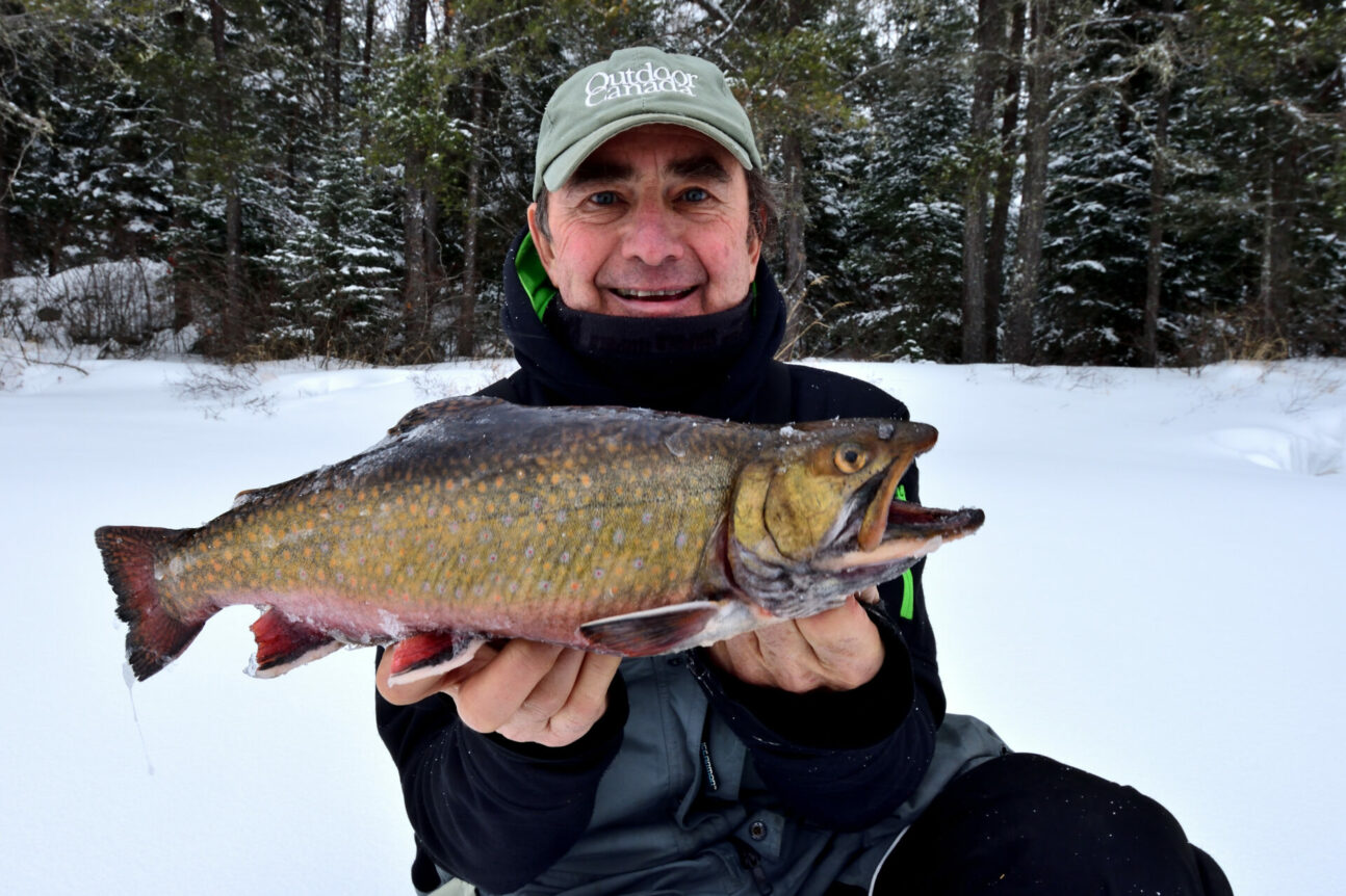 Why do trout and salmon have red flesh? It's because they are what they ...