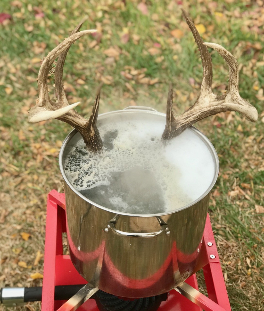 How to create a European-style hunting mount in 5 simple steps • Page 3 ...