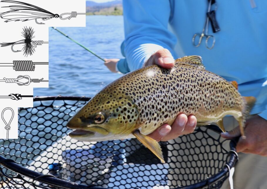 Fishing for walleye in clear water • Outdoor Canada