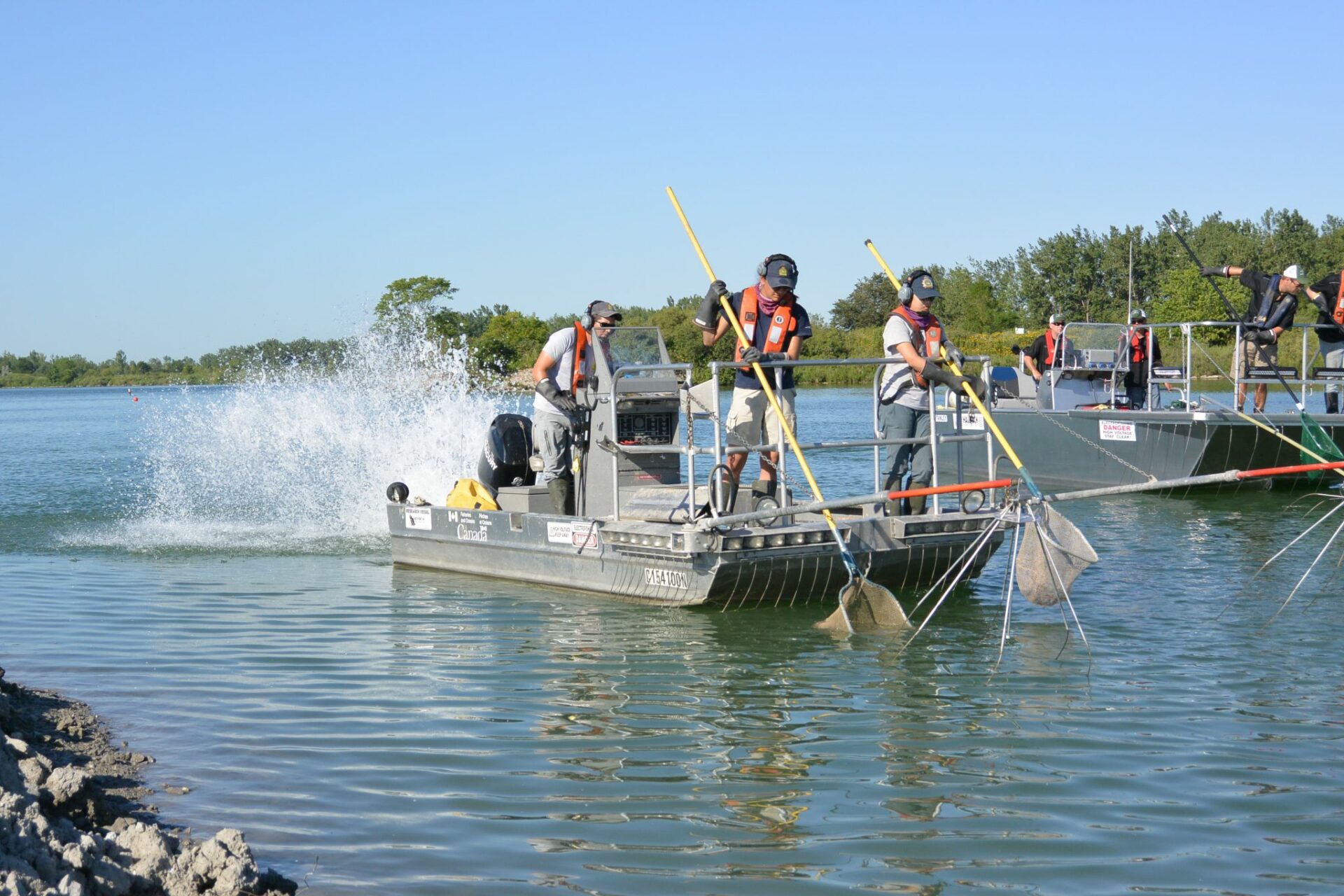 Canadian anglers need to be extra vigilant about invasive grass carp ...