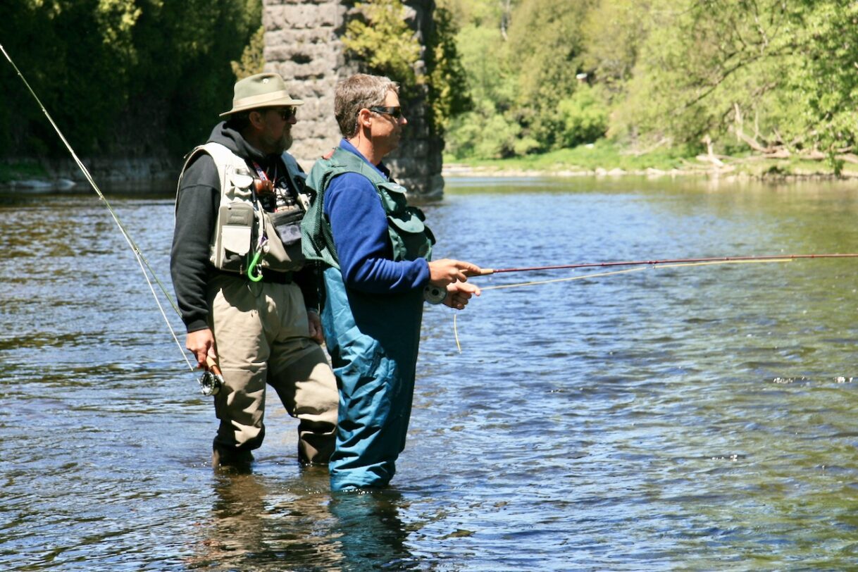 6 Moose Behaviours • Outdoor Canada